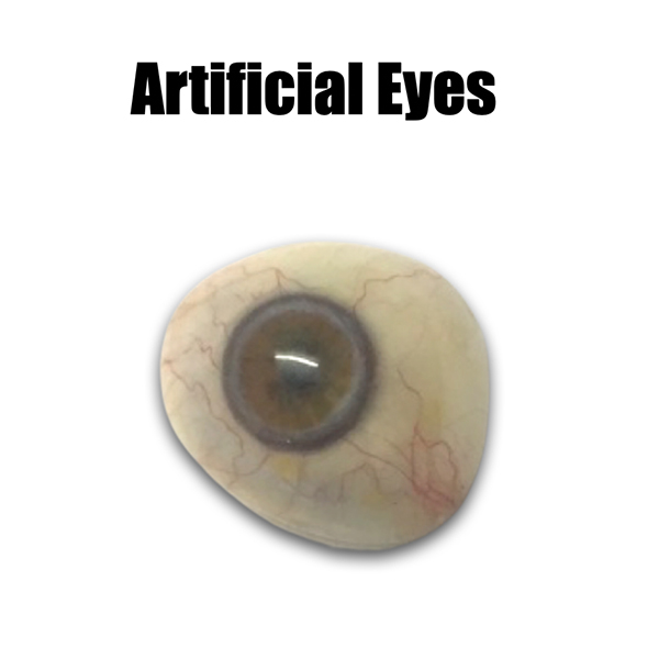 Artificial eyes Set/50 – Akriti Ophthalmic